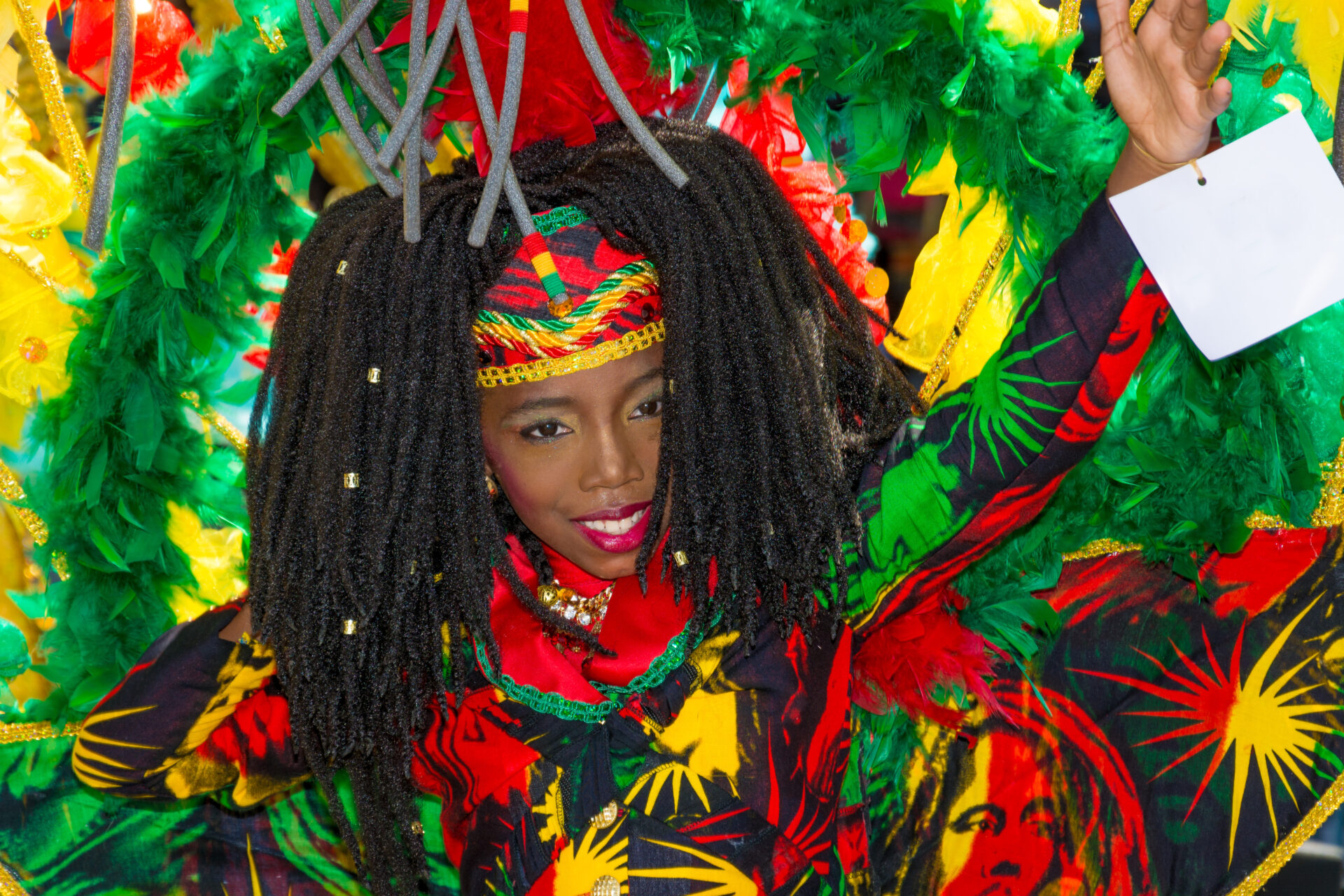 South Carolina Carnival | AWM